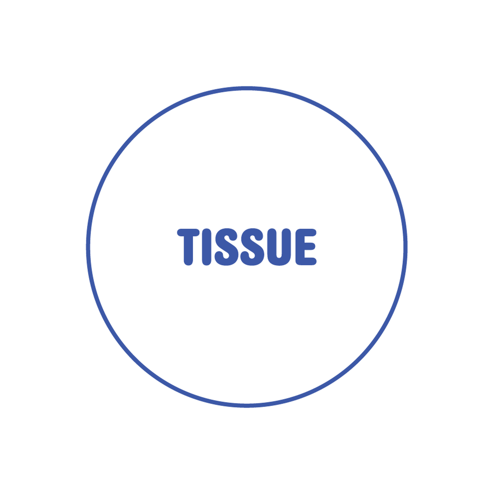 TISSUE – TABLE SERVICE by STUDIO SHAND